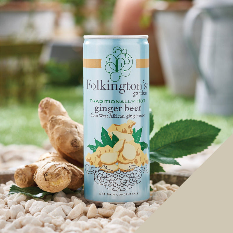 Traditionally hot ginger beer – Folkington's