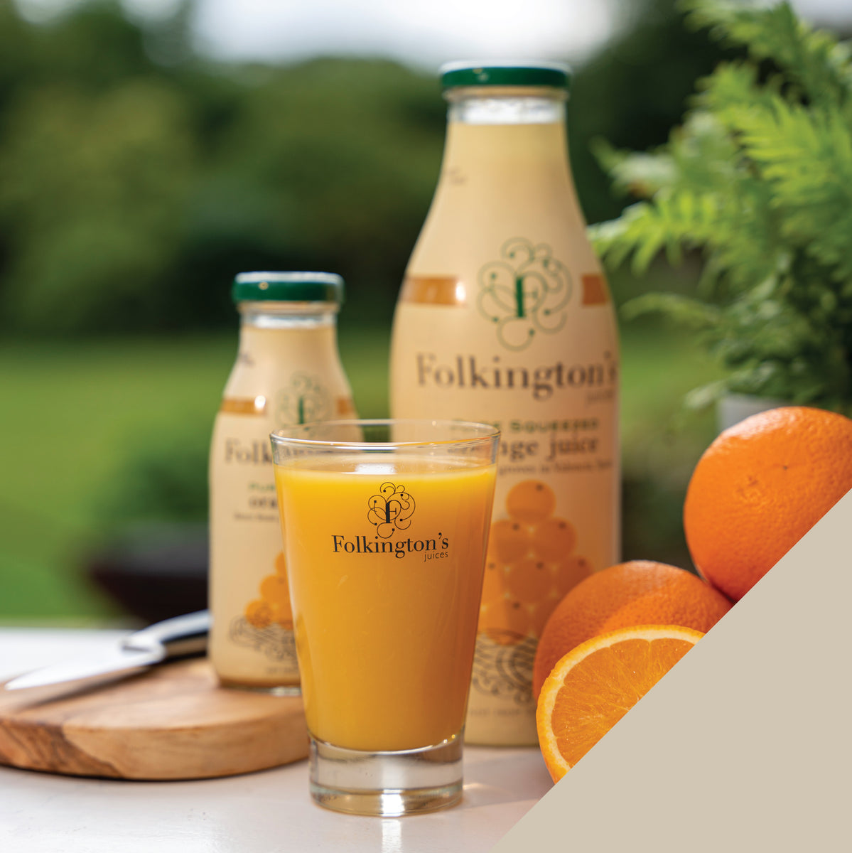 Orange juice – Folkington's