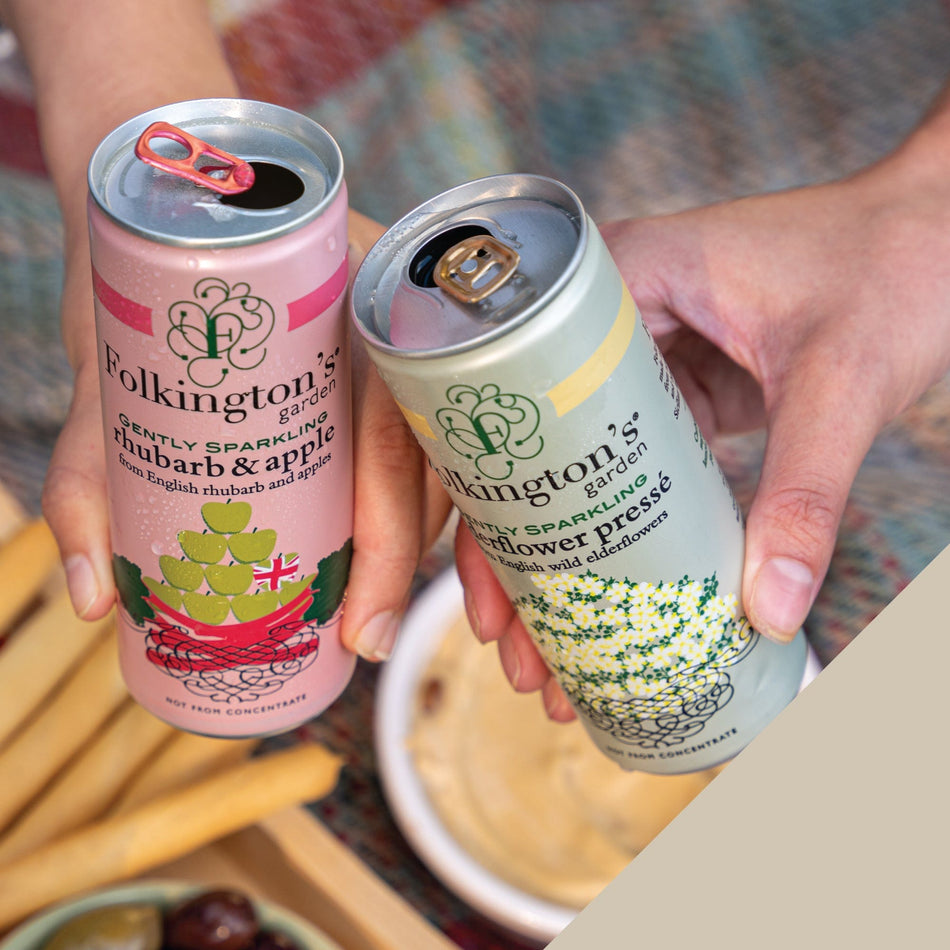 Gently sparkling rhubarb & apple pressé – Folkington's