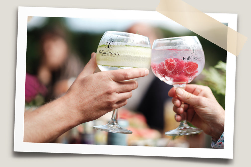 Discover our gin pairing guide – Folkington's
