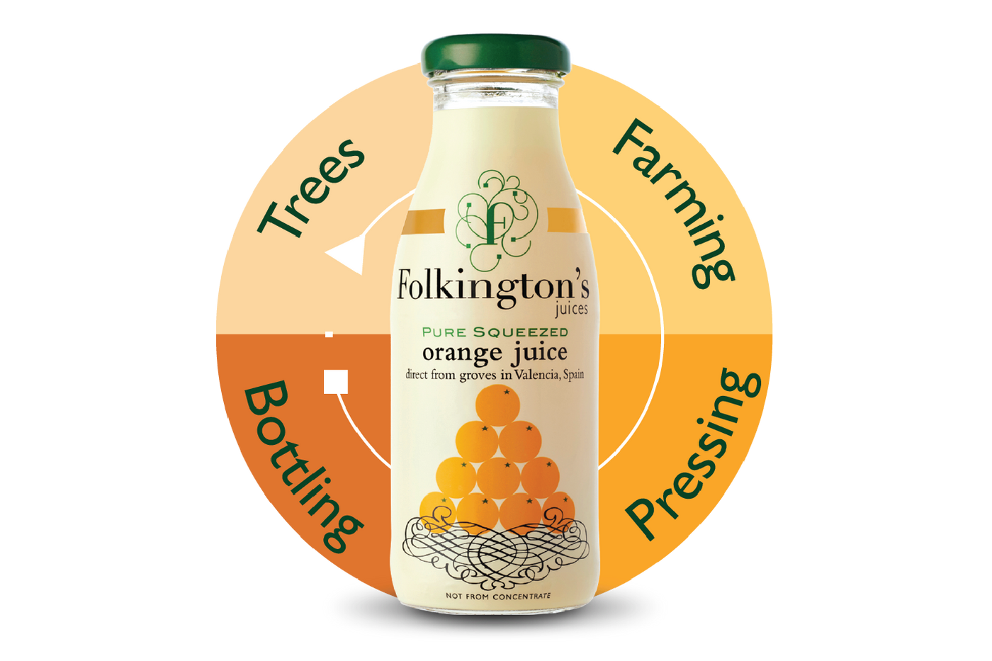 Discover our sustainable oranges – Folkington's