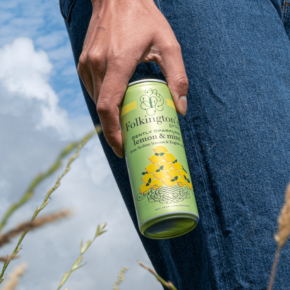 Discover our sparkling drinks – Folkington's